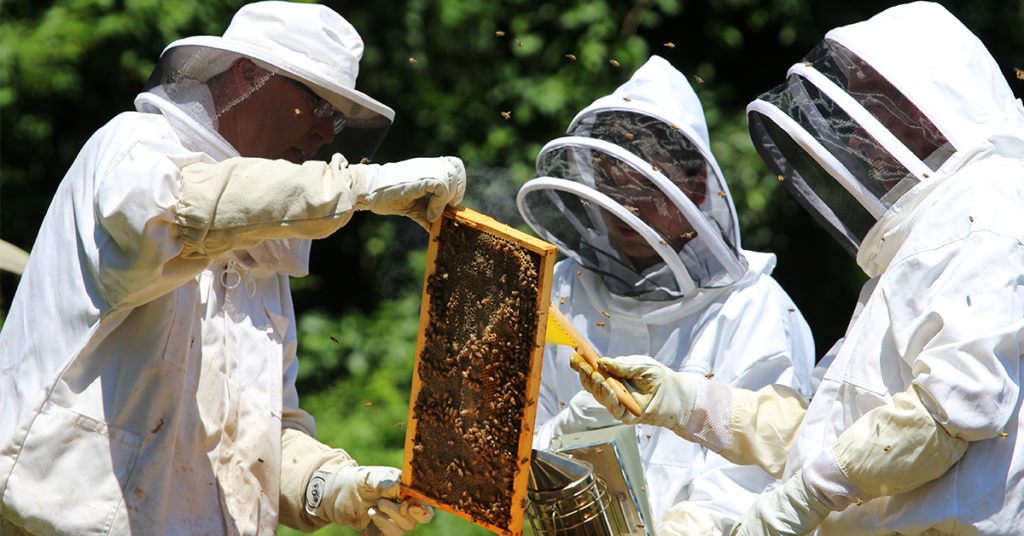 Goats and Bees and Butterflies, Oh My: How Needham Golf Club Is ...
